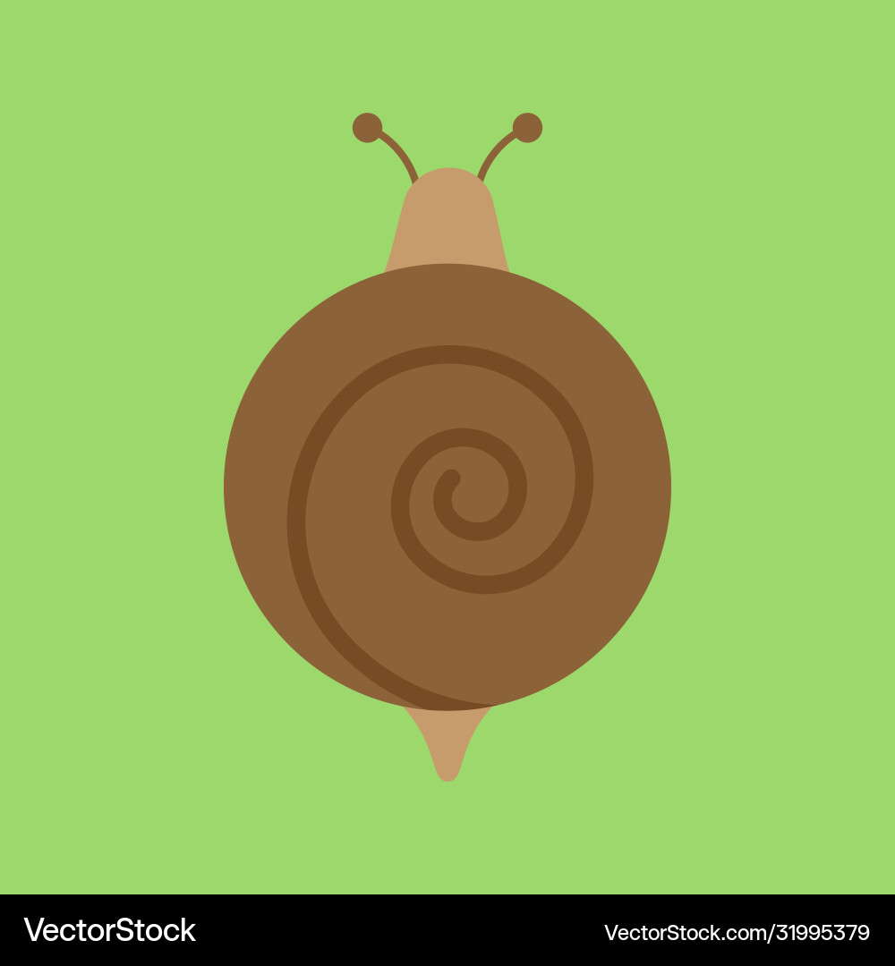 Snail Royalty Free Vector Image - VectorStock