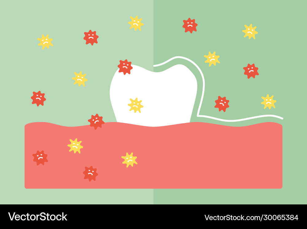Tooth protection and not protection bacteria Vector Image