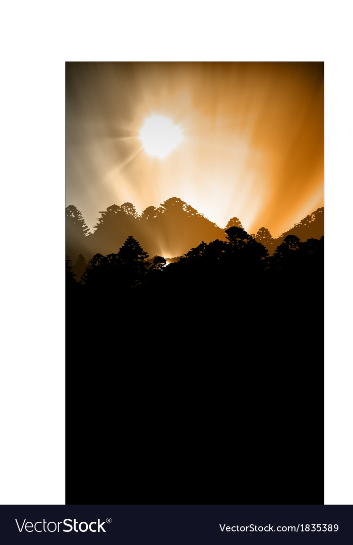 Sunset Royalty Free Vector Image - VectorStock