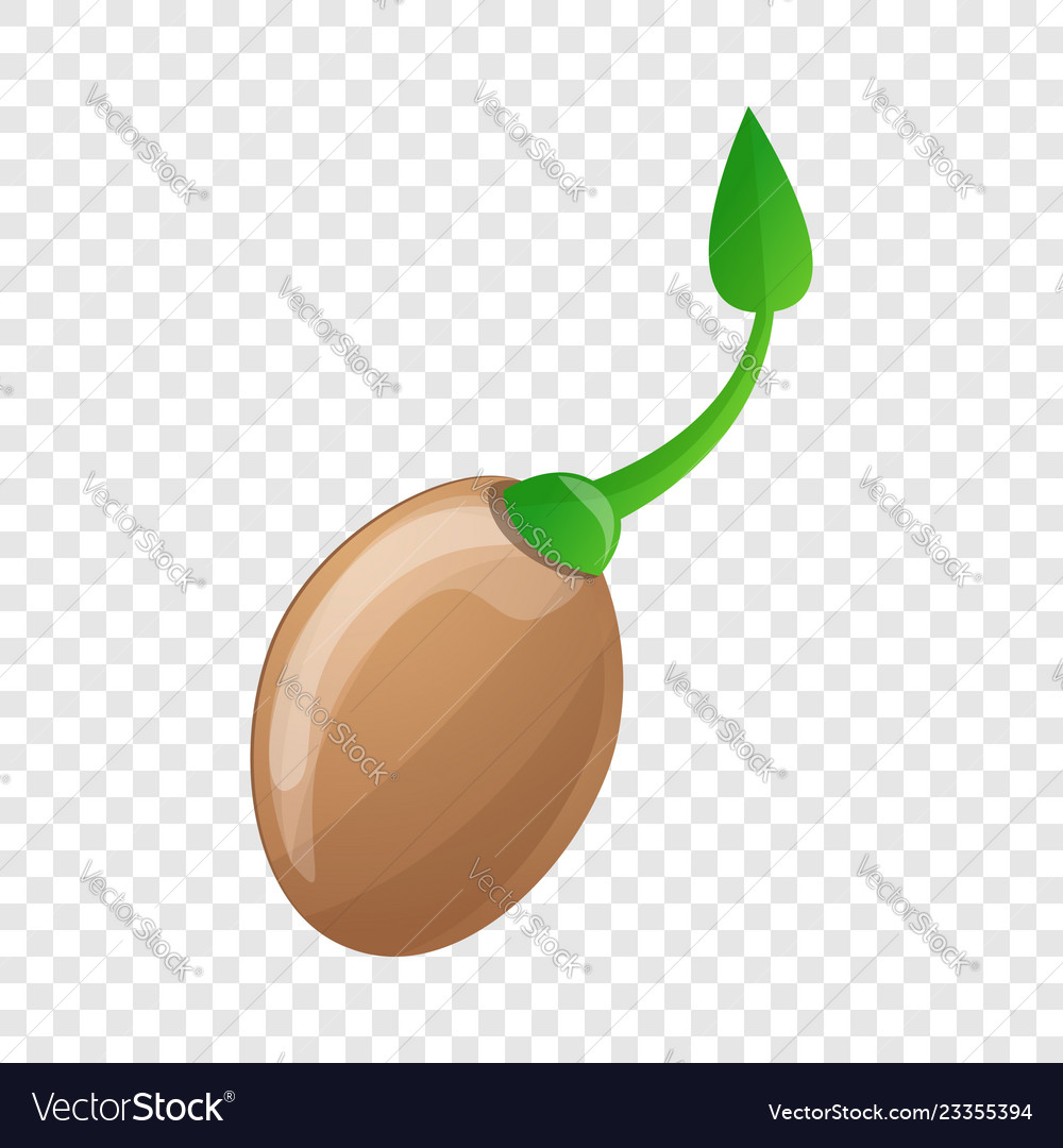 Soy bean icon cartoon style Royalty Free Vector Image Soy bean icon cartoon style Royalty Free Vector Image