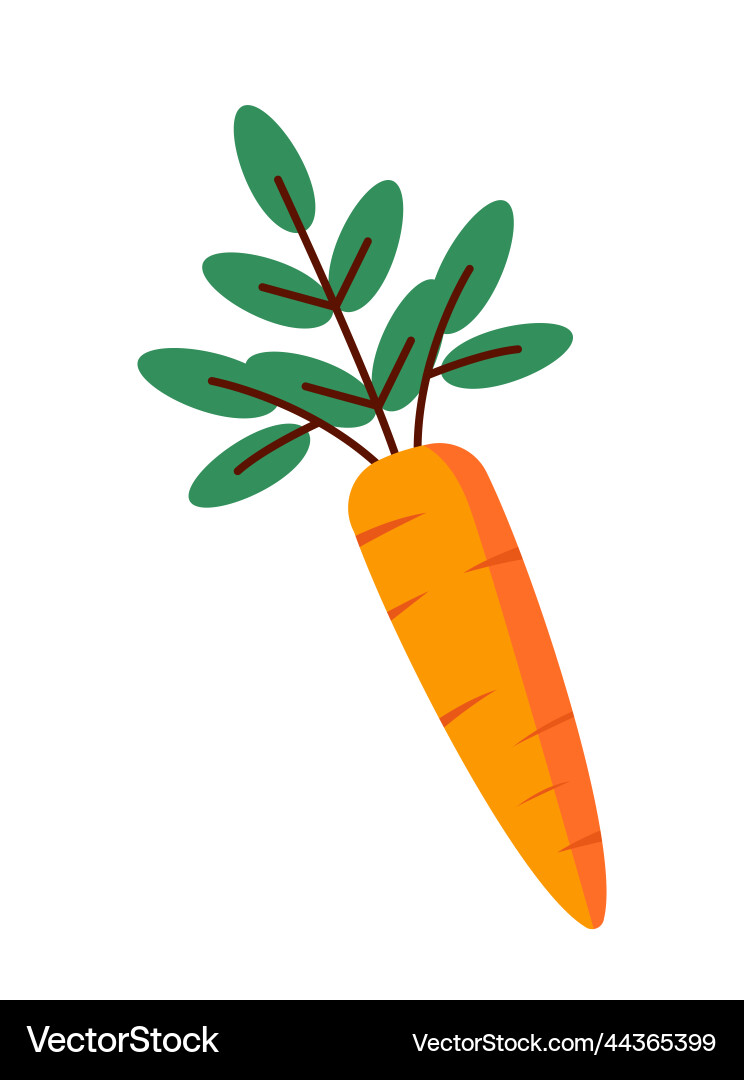 Farm carrot icon Royalty Free Vector Image - VectorStock