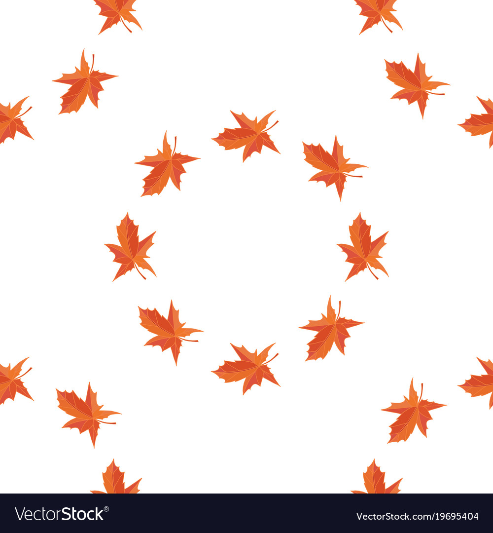 Maple autumn falling leaves Royalty Free Vector Image