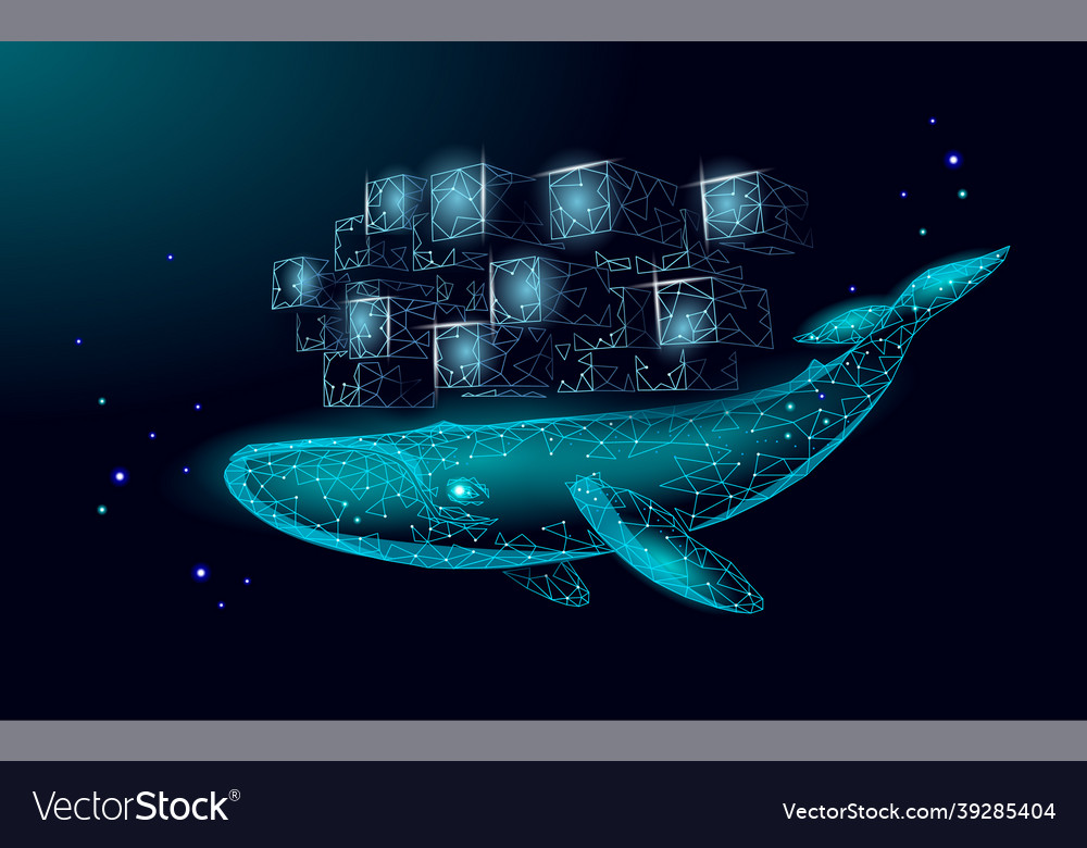 Whale And Container Computer Docker Developer App Vector Image