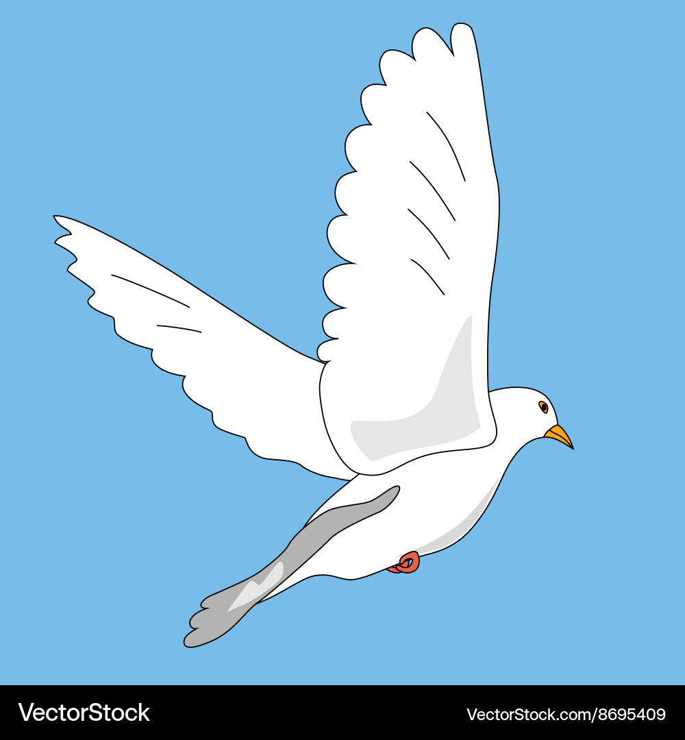 White dove Royalty Free Vector Image - VectorStock
