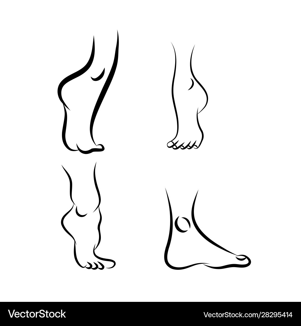 Foot print icons set - isolated on white Vector Image