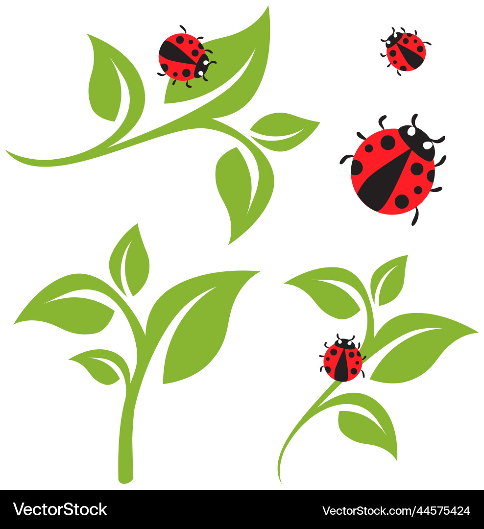 Flat green leaf and ladybug set Royalty Free Vector Image