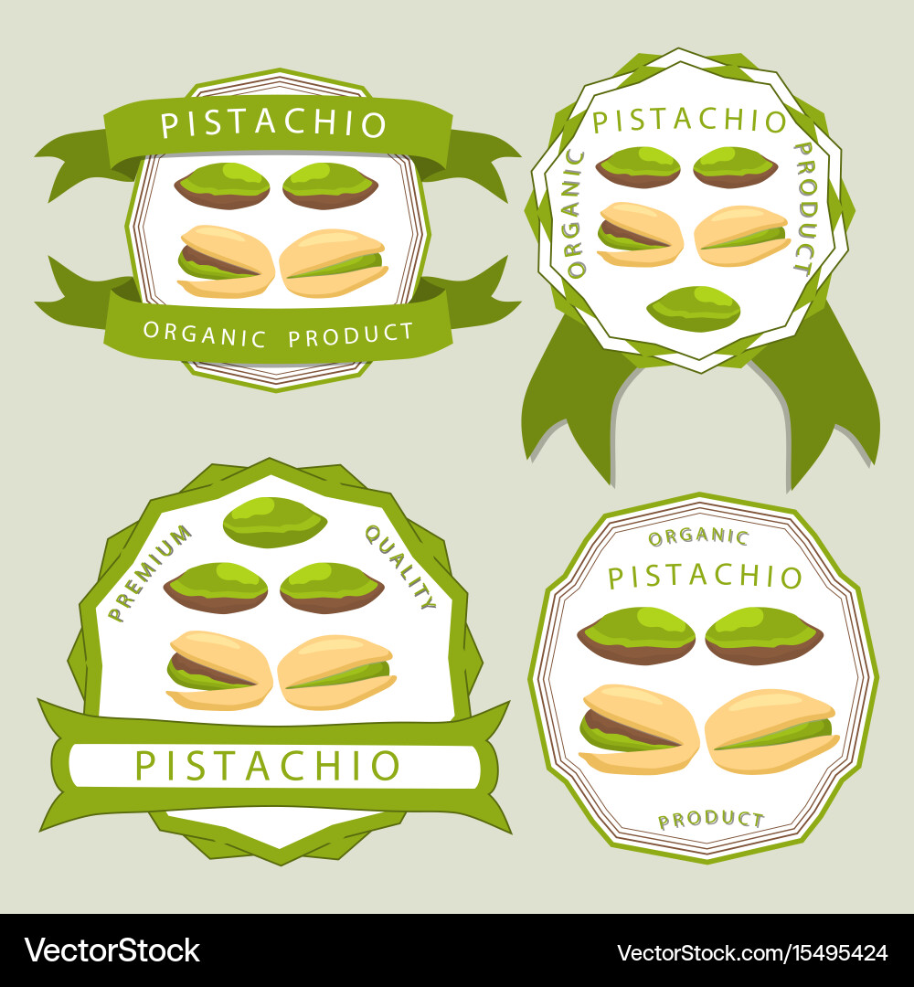 Theme pistachio Royalty Free Vector Image - VectorStock