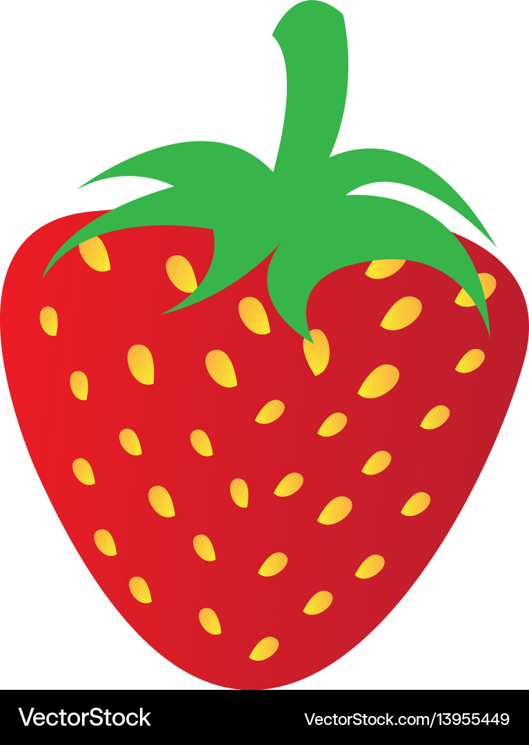 Colorful realistic strawberry fruit food Vector Image