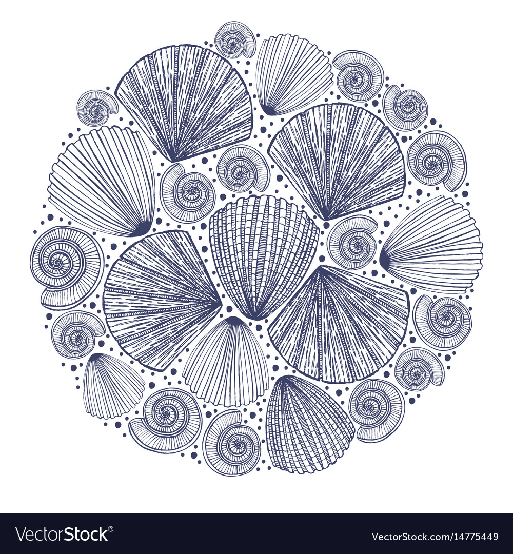 Round hand drawn shell composition Royalty Free Vector Image