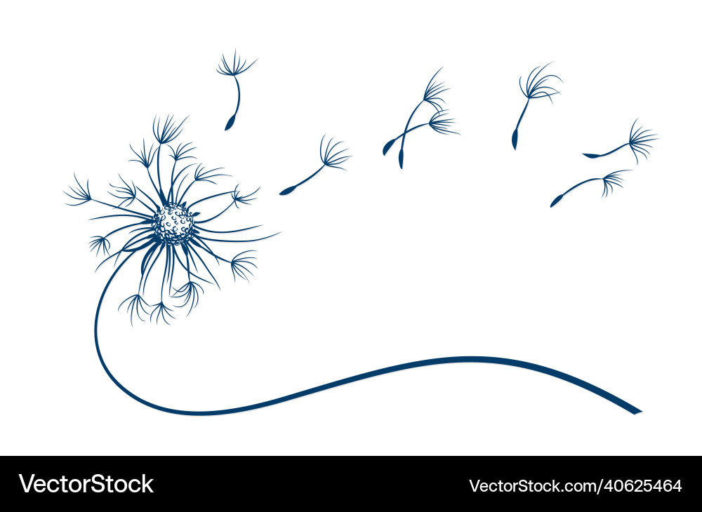 Field dandelion symbol with flying seeds Vector Image