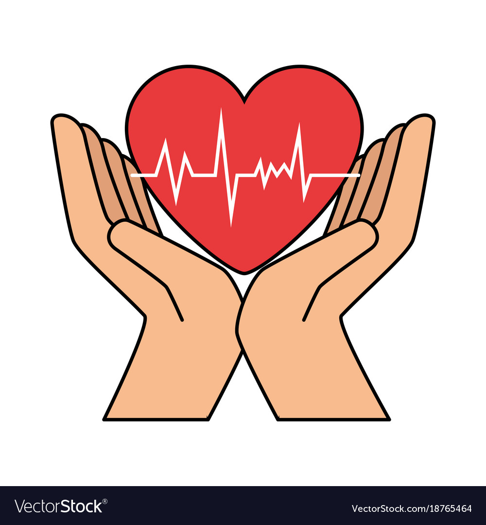 Hands With Heart Cardio Royalty Free Vector Image