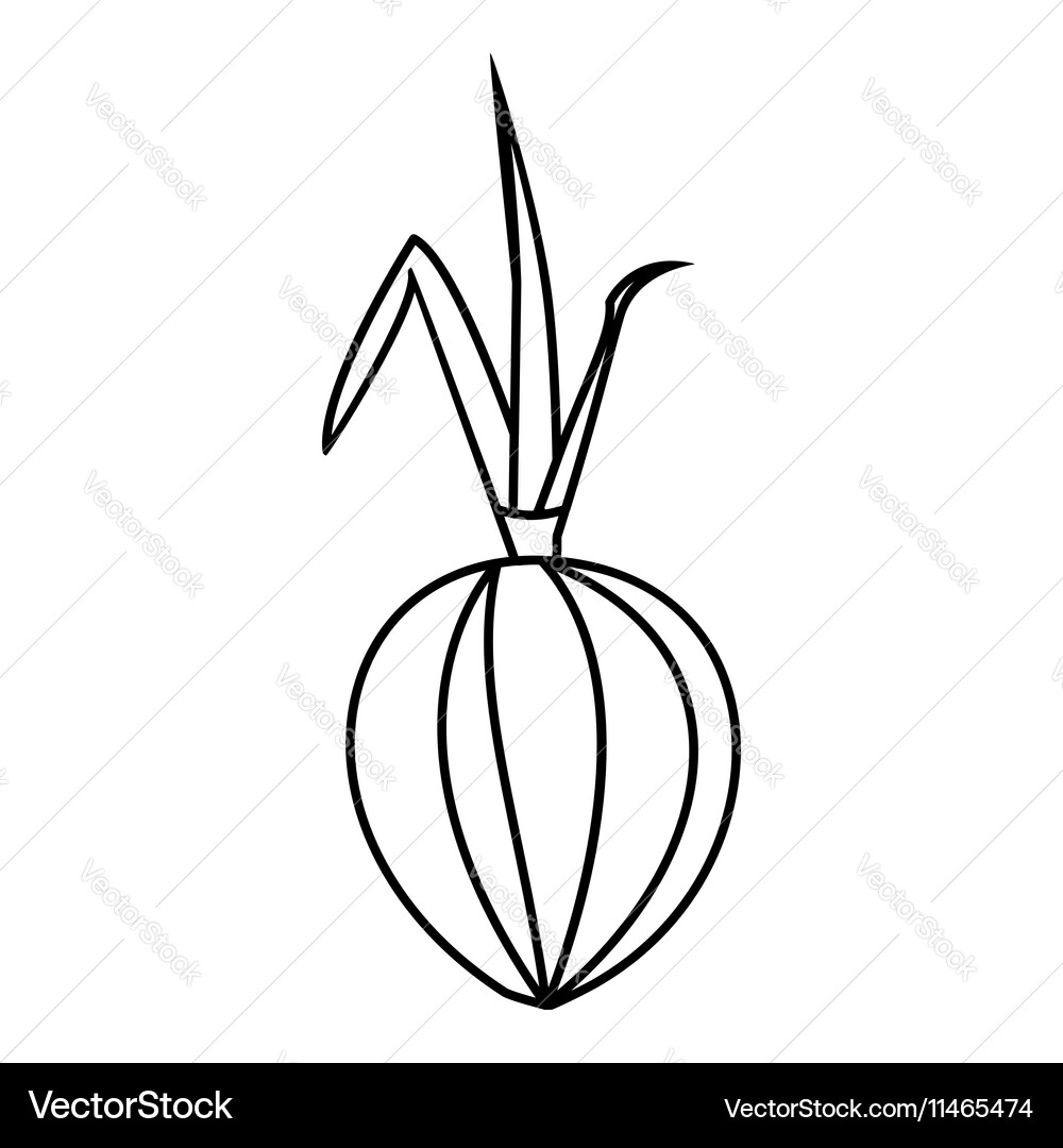 Onion icon outline style Royalty Free Vector Image