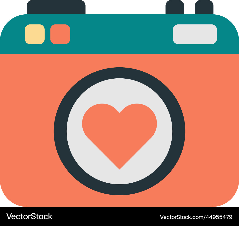 Digital camera and heart in minimal style Vector Image