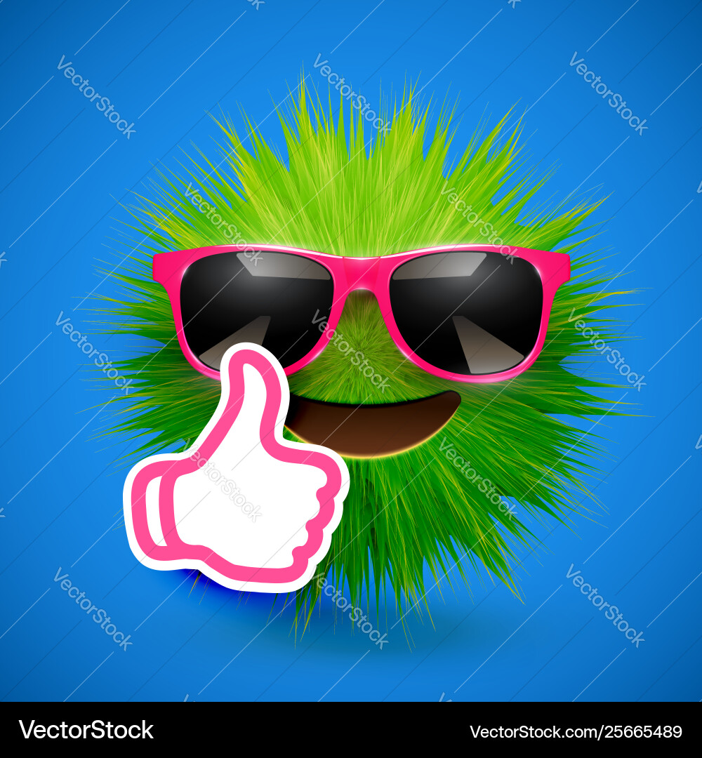High-detailed 3d fur smiley emoticon Royalty Free Vector