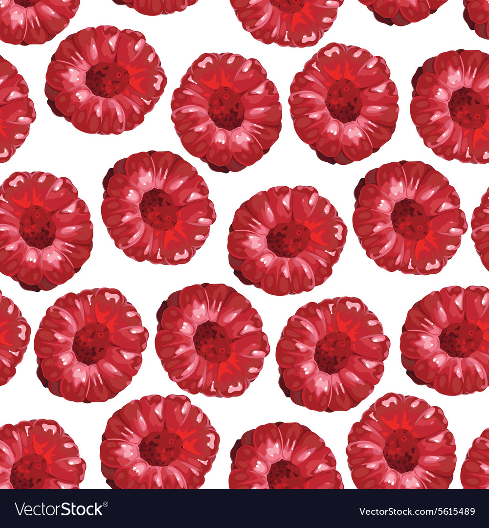 Raspberry pattern Royalty Free Vector Image - VectorStock
