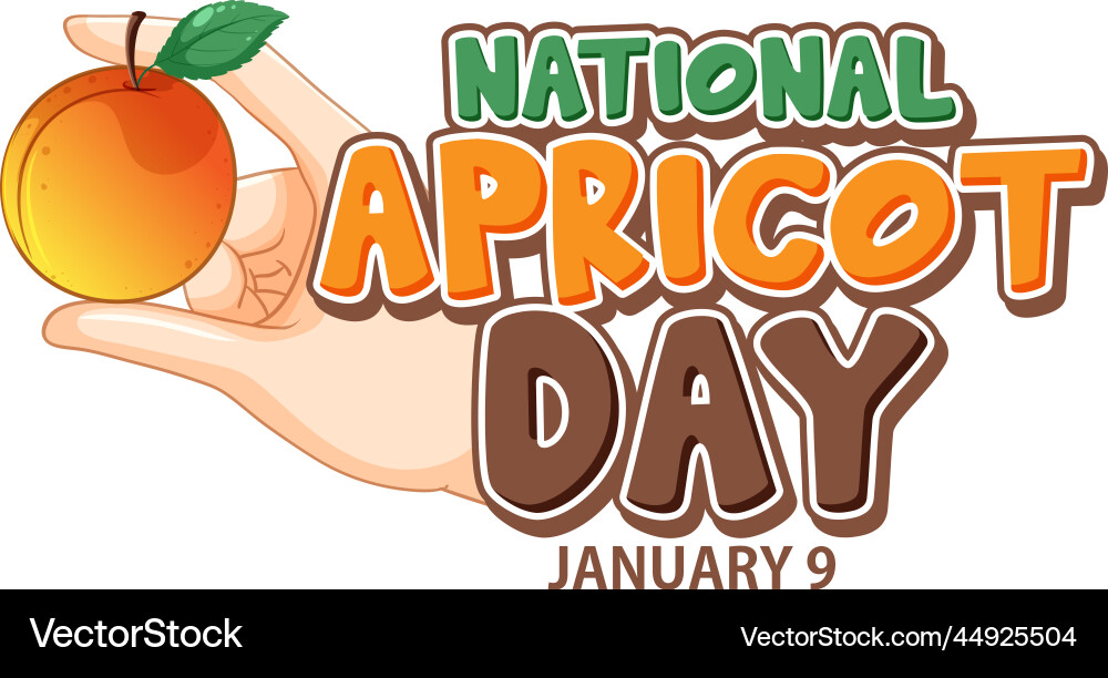 National apricot day icon Royalty Free Vector Image