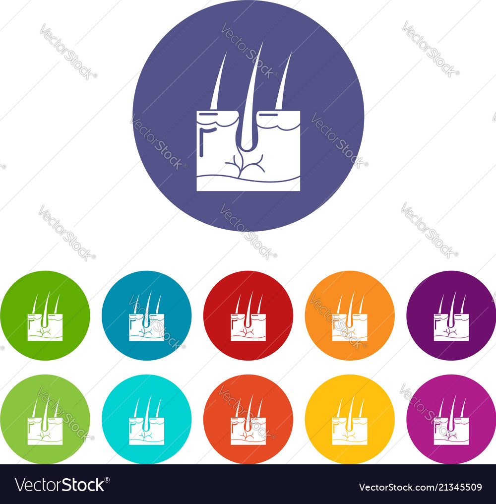 Hair skin icons set color Royalty Free Vector Image Hair skin icons set color Royalty Free Vector Image