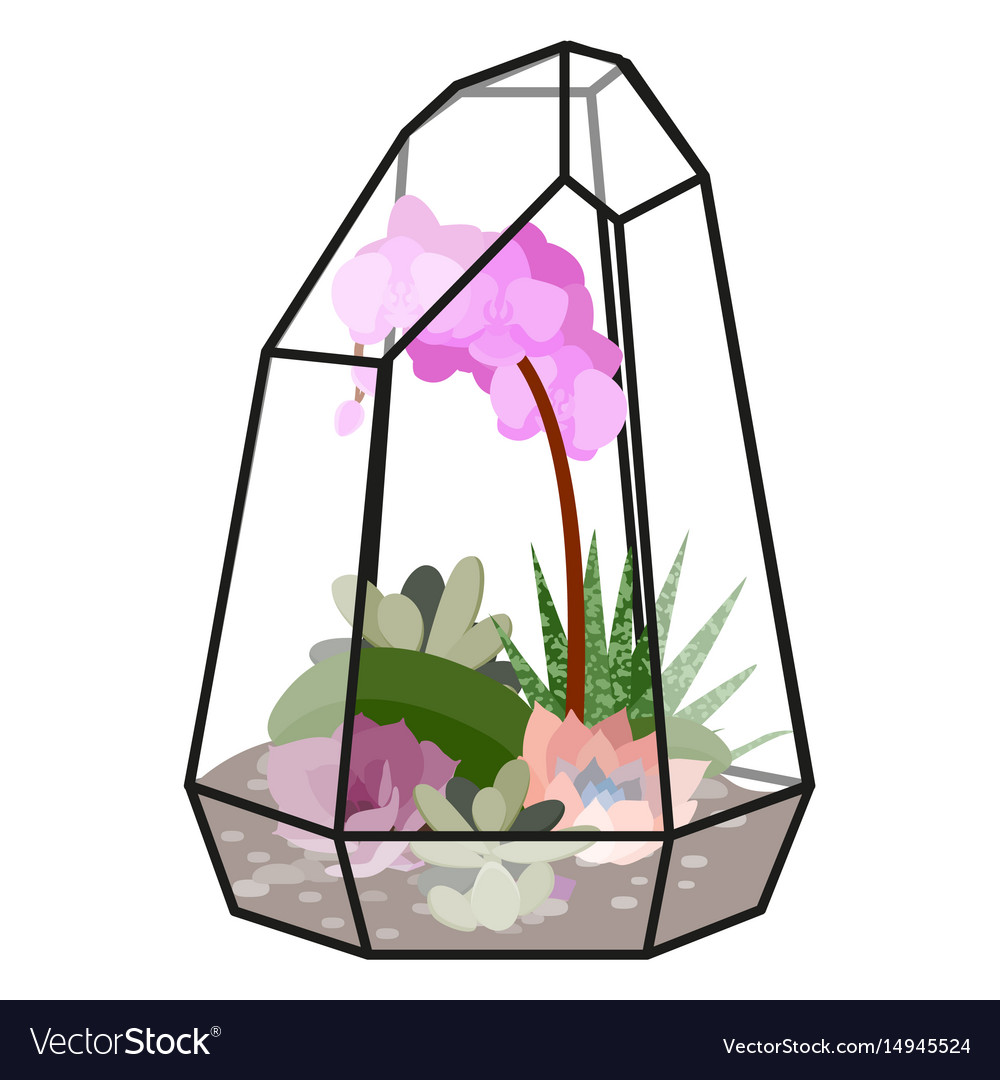 With glass florarium Royalty Free Vector Image