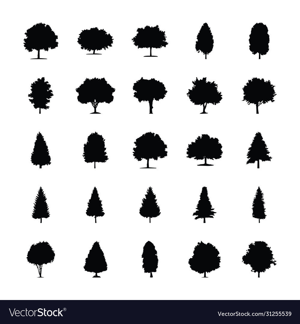 Trees solid icons Royalty Free Vector Image - VectorStock
