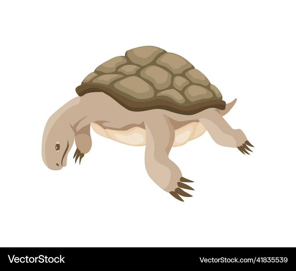 Turtle character land wildlife animal Royalty Free Vector