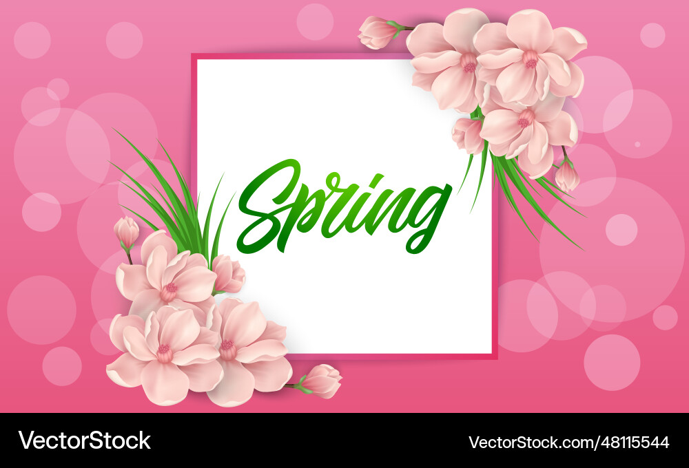 Spring lettering with frame and flowers Royalty Free Vector