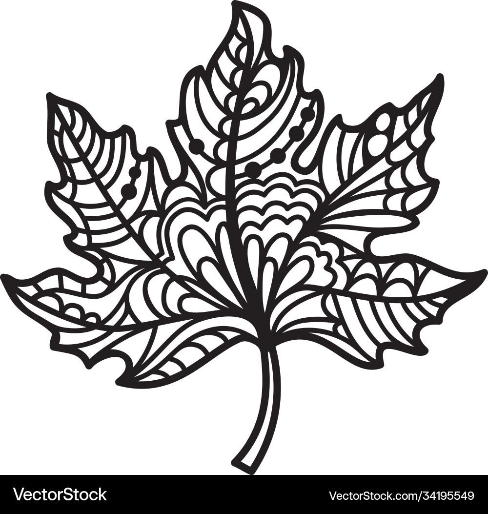 Entangle maple leaf Royalty Free Vector Image - VectorStock