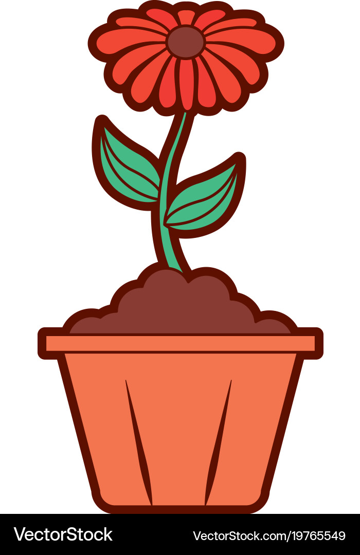 Potted flower interior decoration garden spring Vector Image