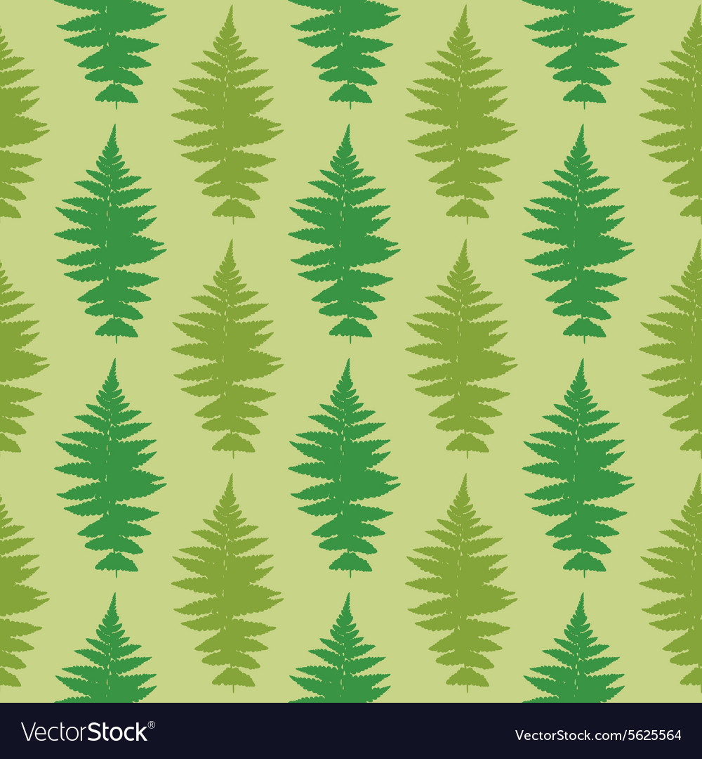 Fern seamless pattern Royalty Free Vector Image