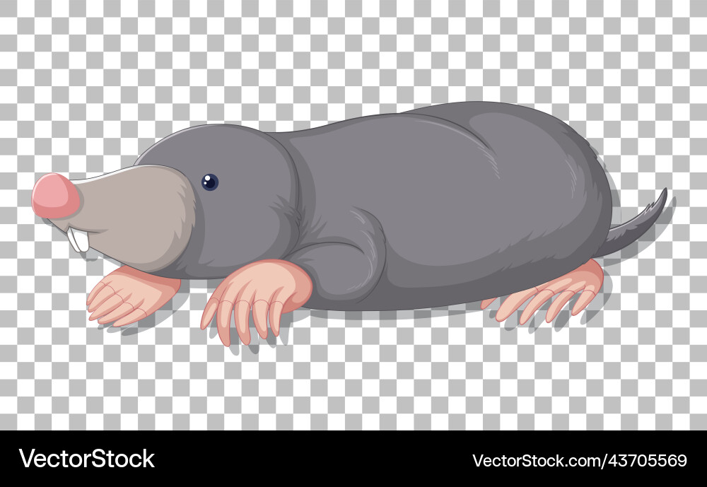 A mole cartoon on grid background Royalty Free Vector Image