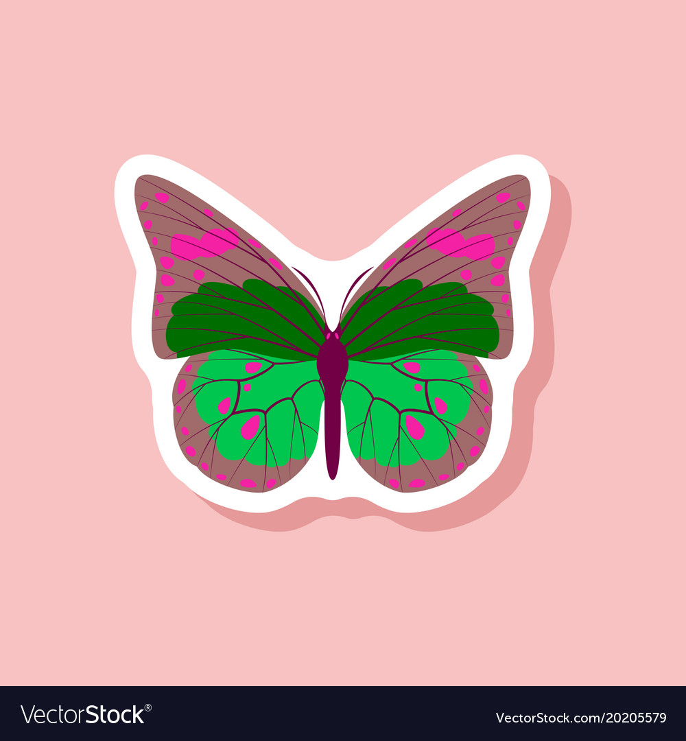 Butterfly Paper Sticker On Stylish Background Vector Image