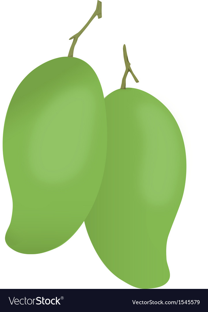 Mango Royalty Free Vector Image - VectorStock