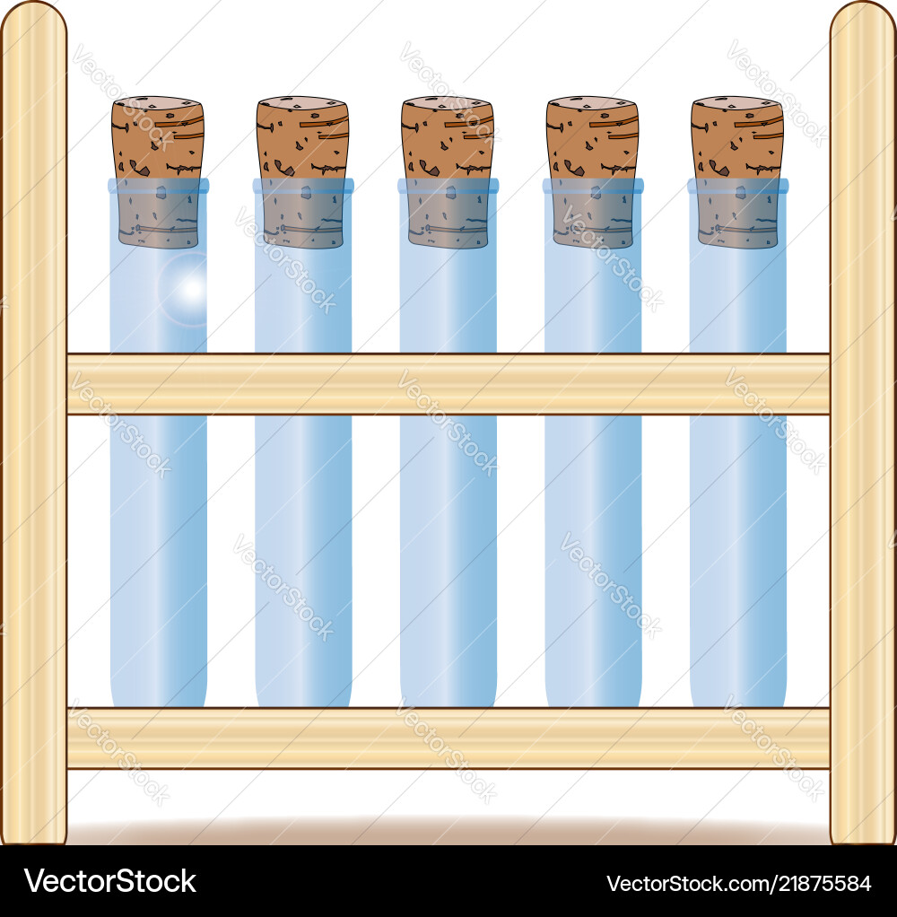 Test tube rack Royalty Free Vector Image - VectorStock