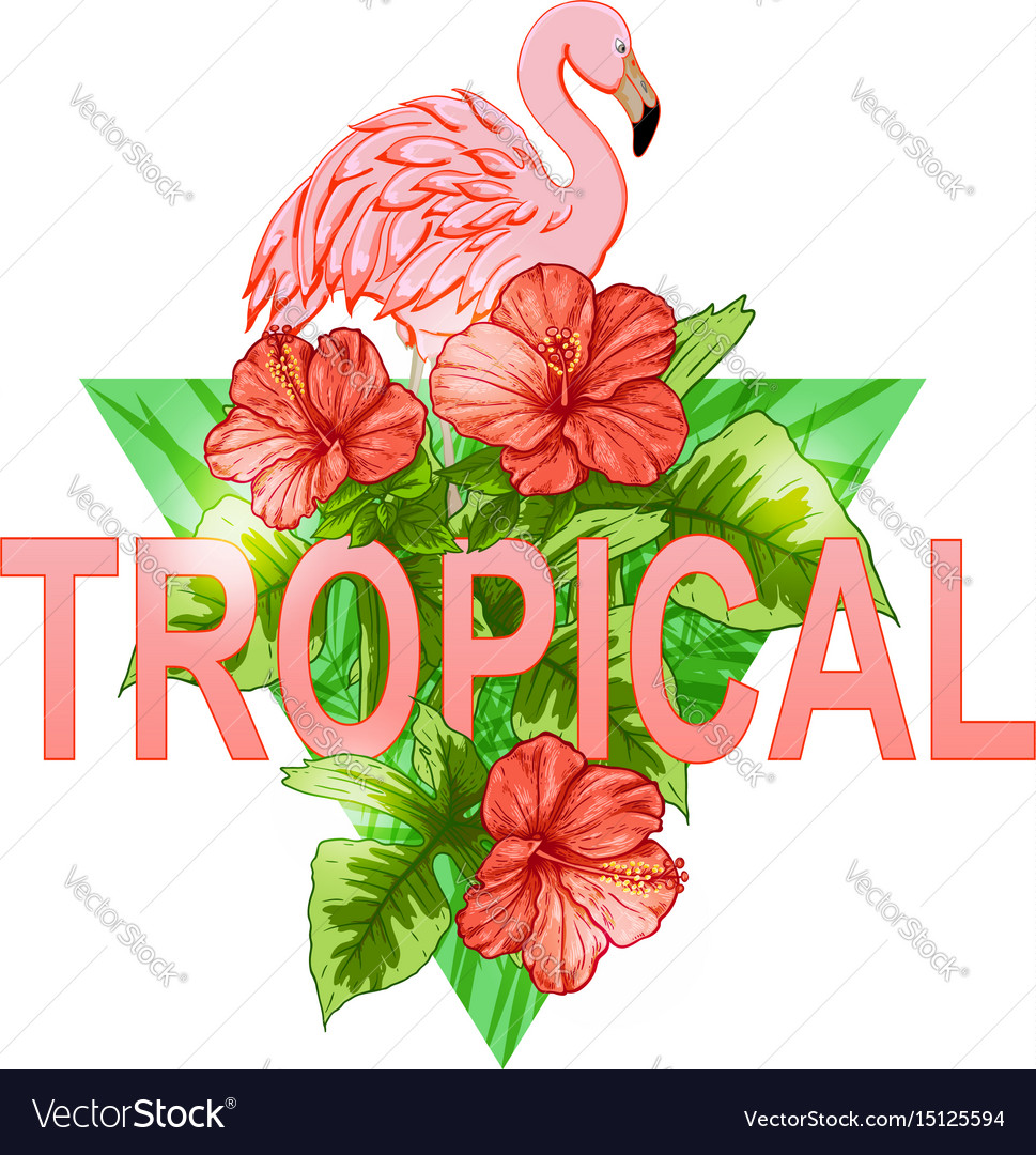 Tropical banner with flamingo Royalty Free Vector Image
