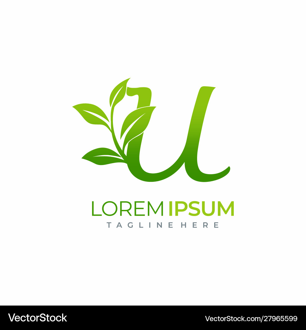 Letter u green plant leaf logo Royalty Free Vector Image