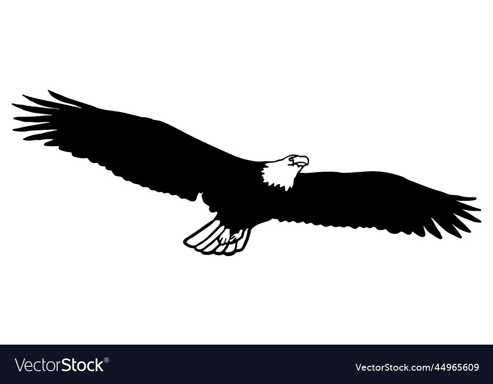Flying eagle symbol eagle with open wing Vector Image