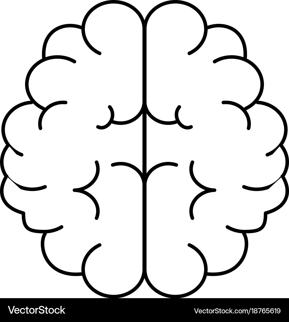 Brain human isolated icon Royalty Free Vector Image