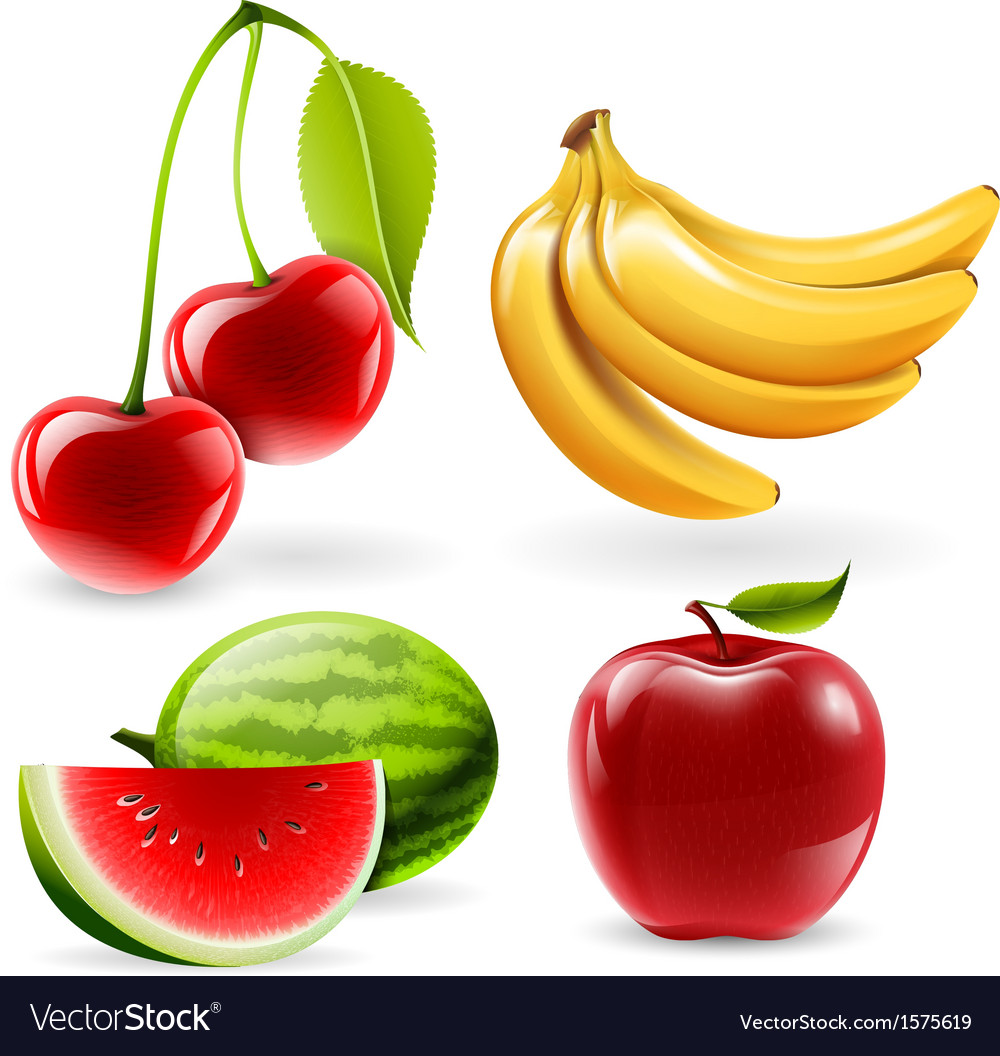 Fruit Royalty Free Vector Image - VectorStock