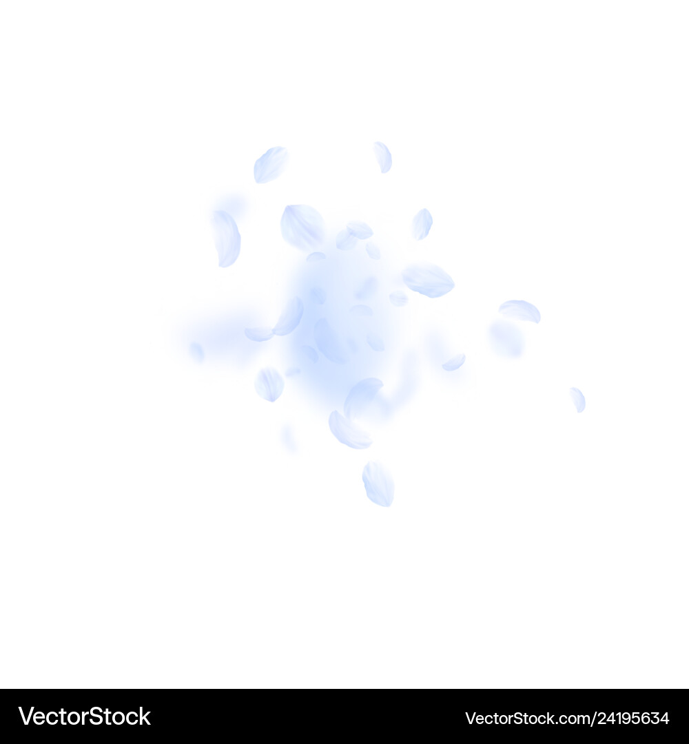 Light blue flower petals falling down wonderful r Vector Image