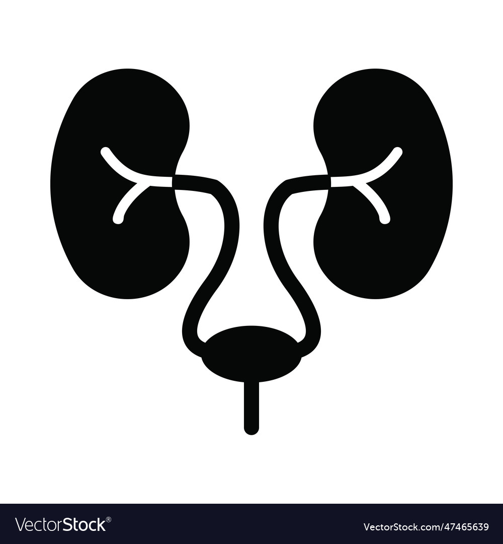 Urology glyph icon for personal and commercial use Urology glyph icon for personal and commercial use