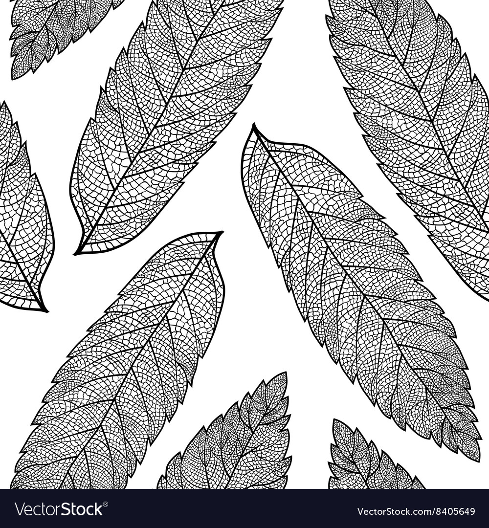 Leaf skeleton pattern Royalty Free Vector Image