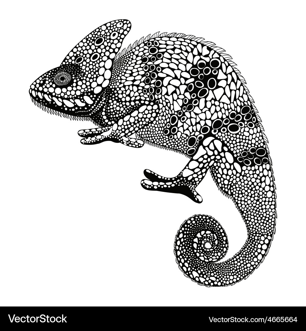 Zentangle stylized Chameleon Hand Drawn Reptile in