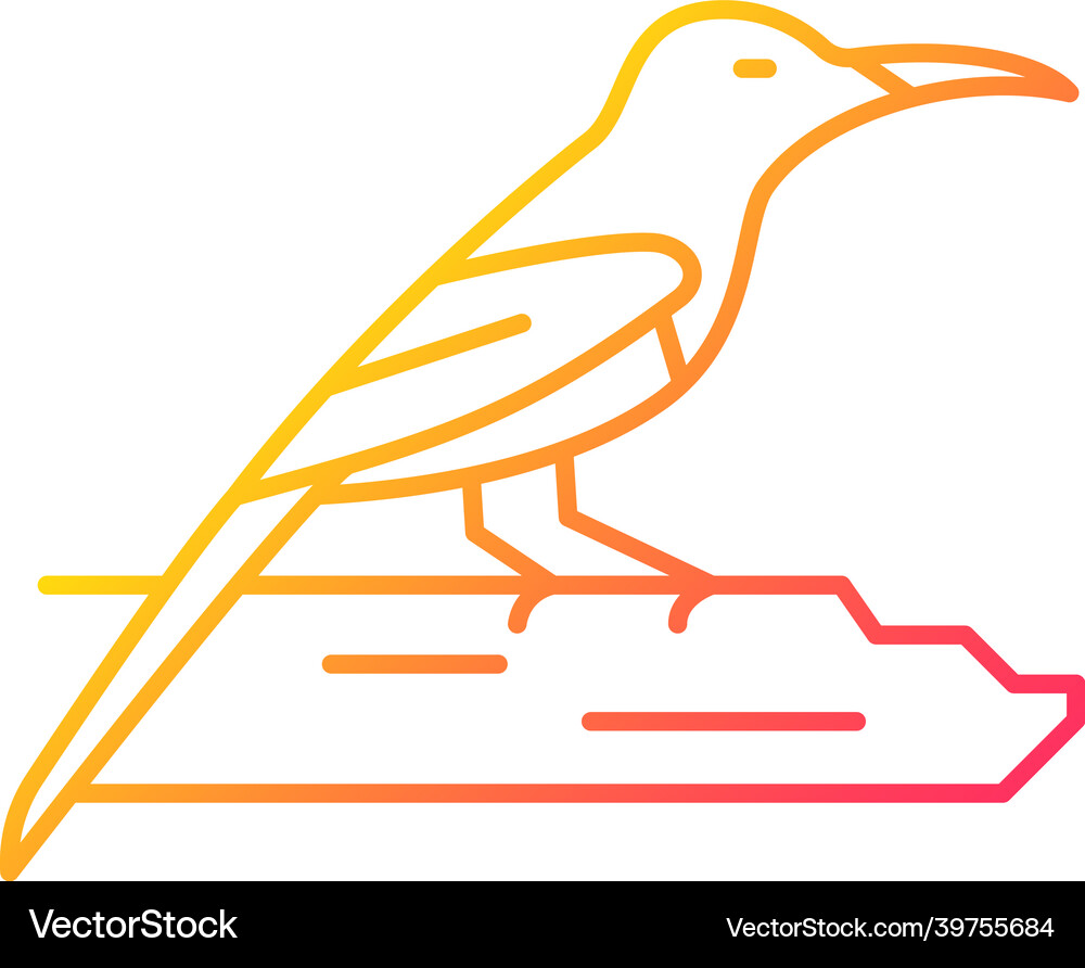 Crimson sunbird gradient linear icon Royalty Free Vector