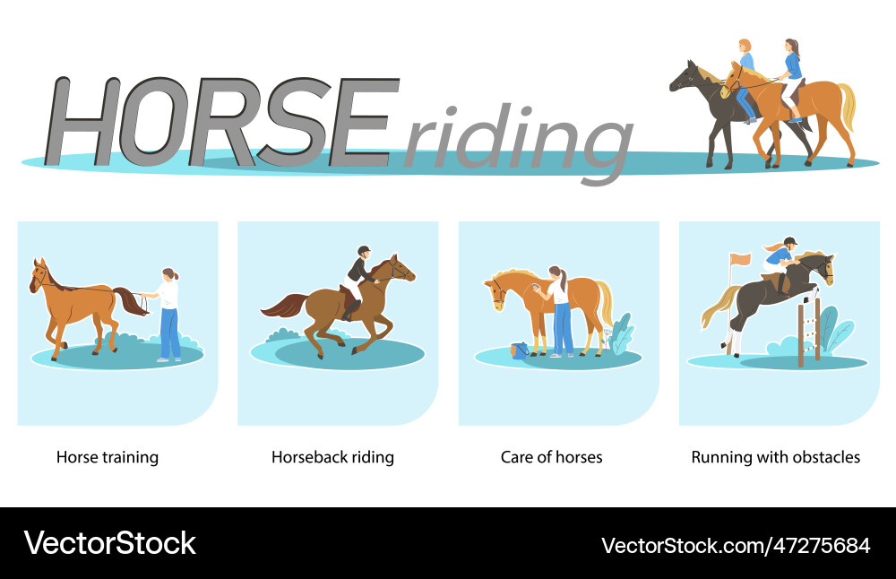 Horse riding infographic Royalty Free Vector Image