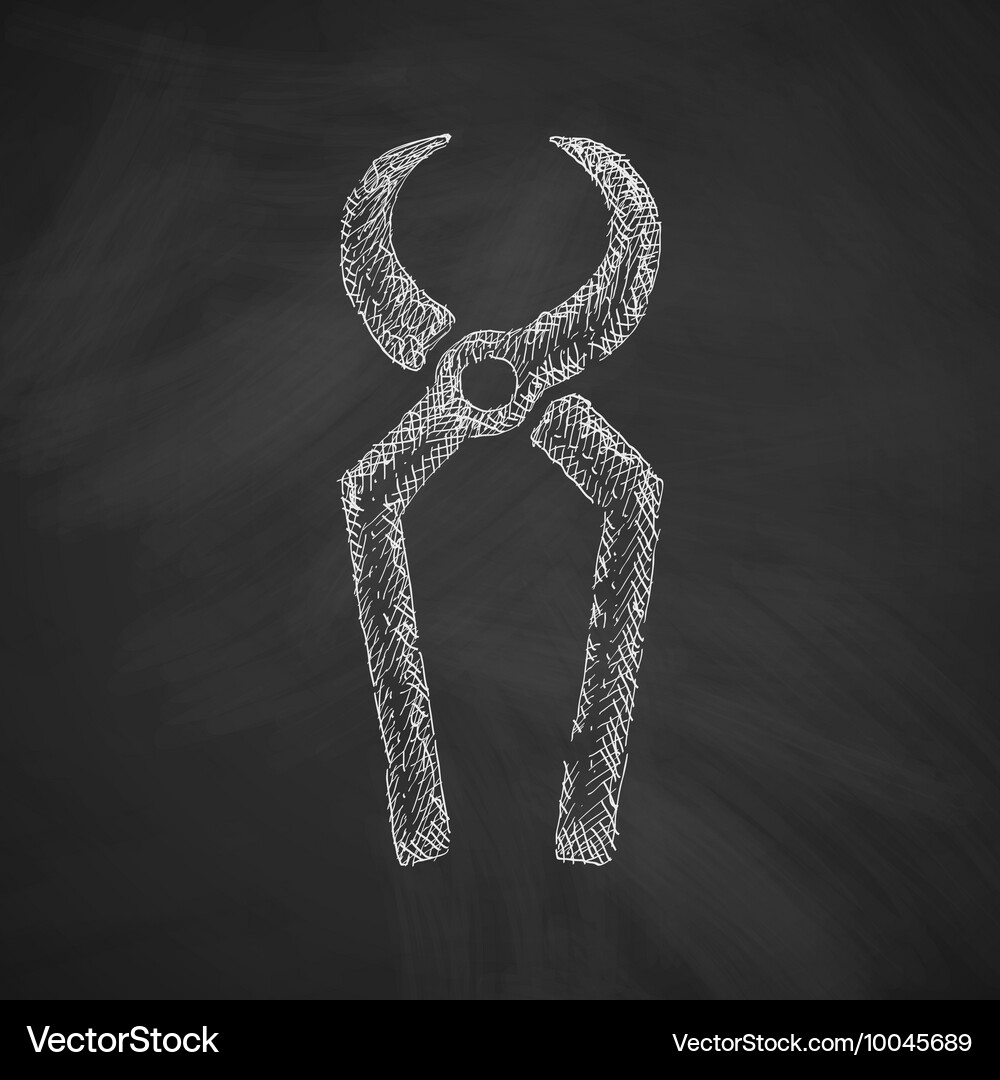 Nippers icon Royalty Free Vector Image - VectorStock