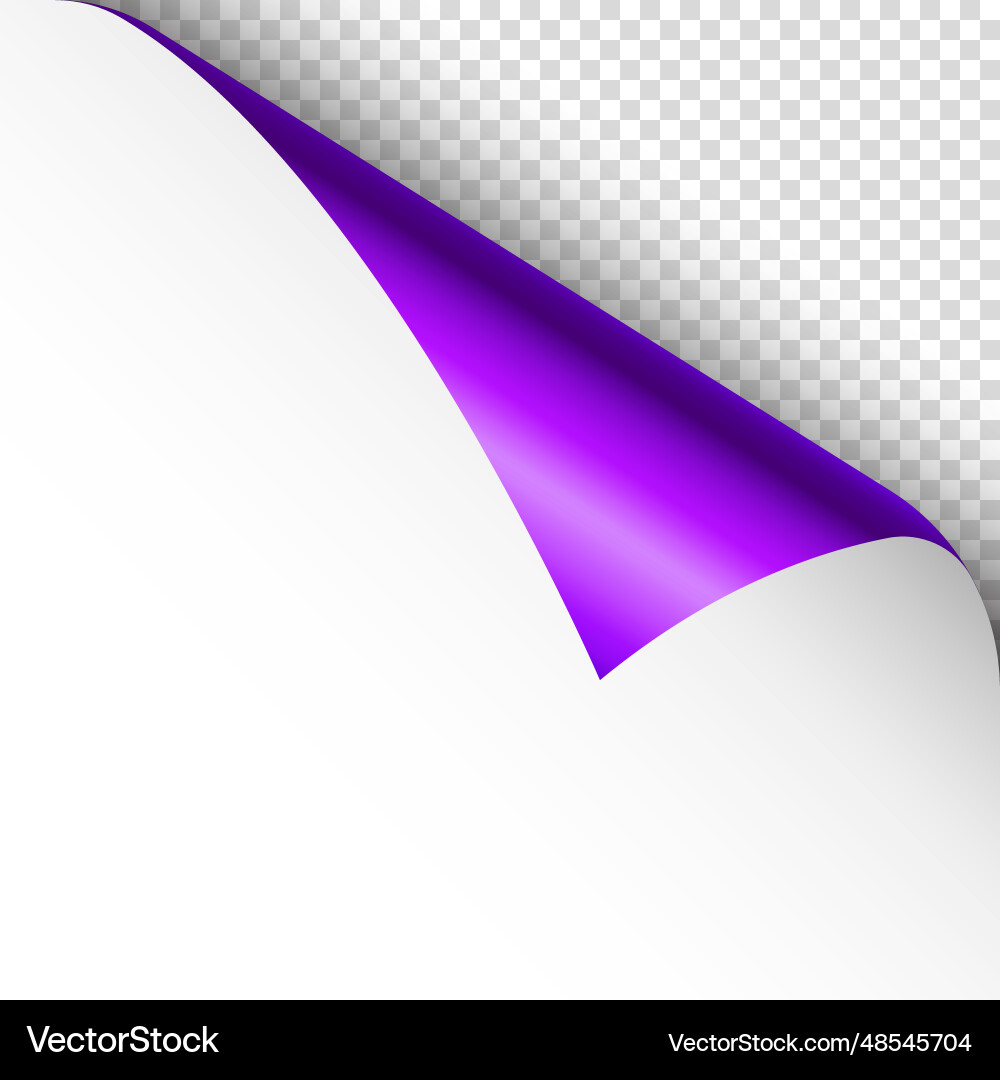 Violet paper curl curled page corner with shadow Vector Image