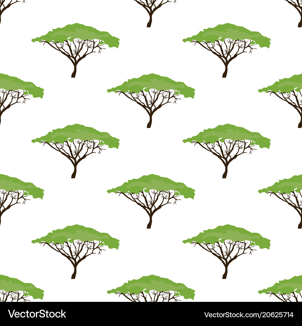 Acacia tree seamless pattern Royalty Free Vector Image