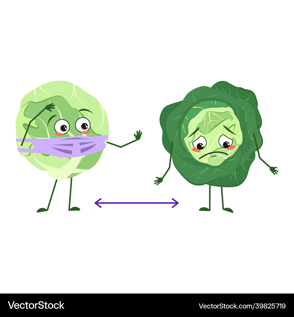 Cute cabbage characters with emotions face Vector Image