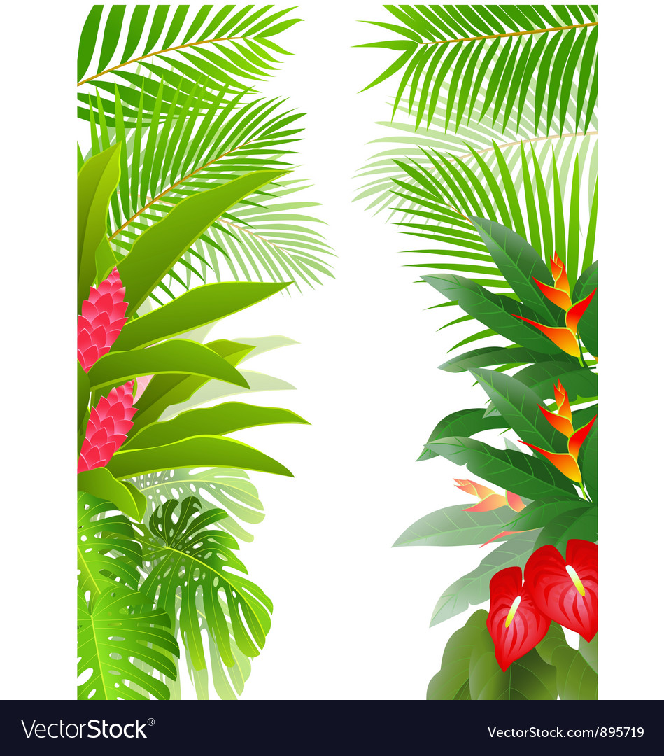 Tropical forest background Royalty Free Vector Image