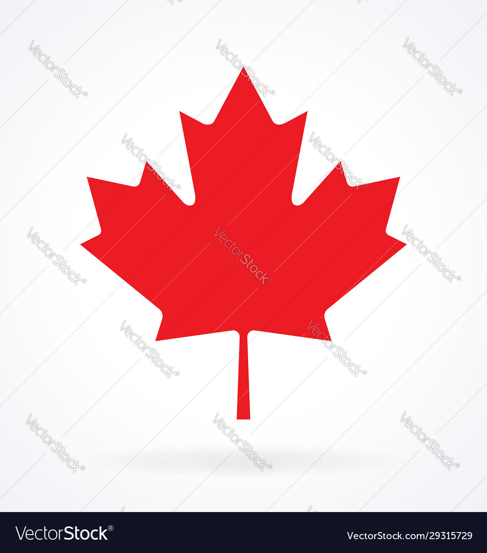 Maple leaf canada Royalty Free Vector Image - VectorStock