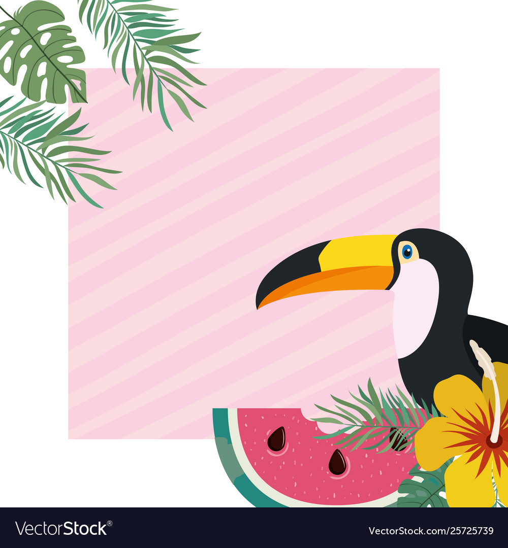 Pattern toucan and summer flower Royalty Free Vector Image